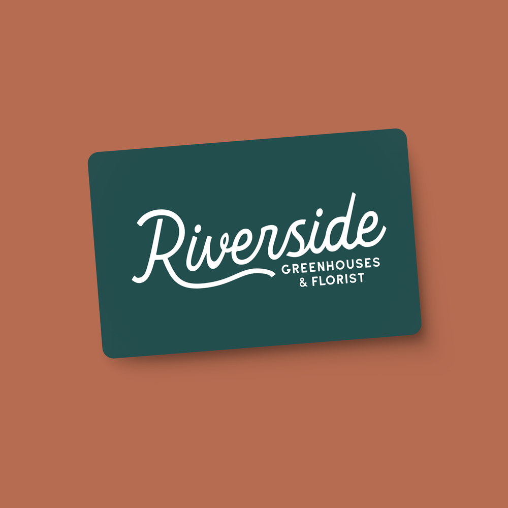 Flower Collection – Riverside Greenhouses & Florist